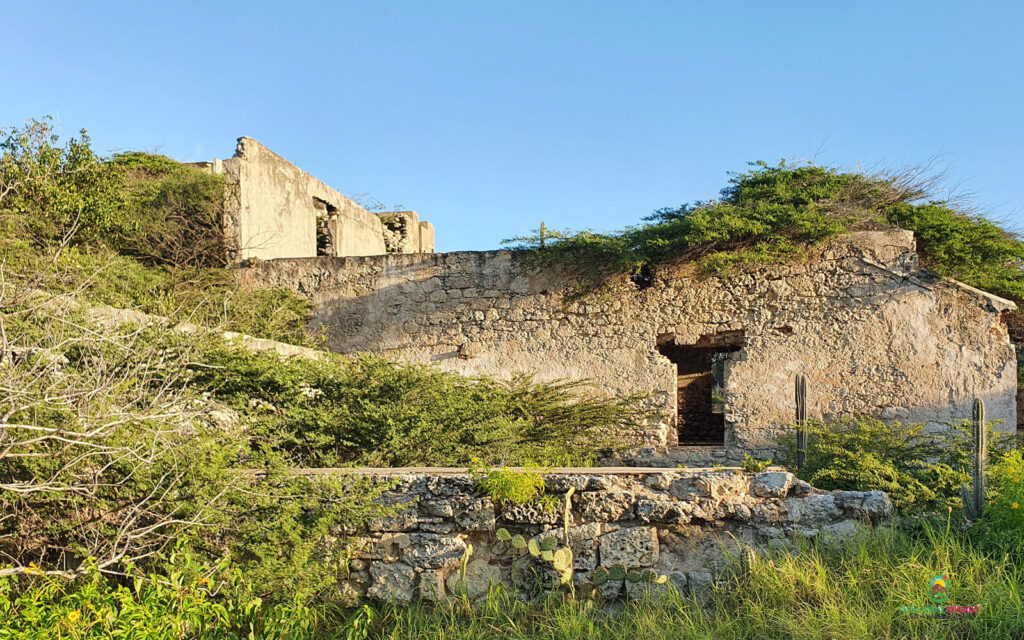 Discover the Hidden Gem of Aruba: Spanish Lagoon Mangrove Trail & Bird ...