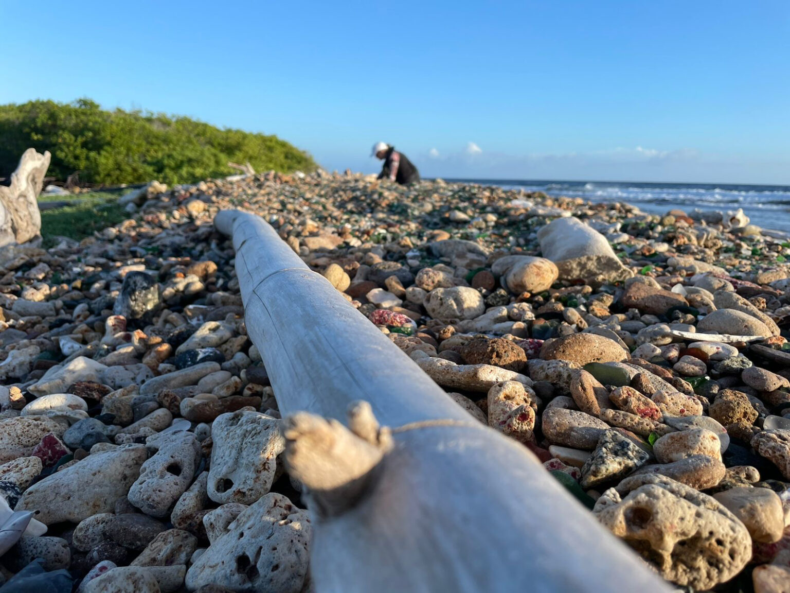 AHATA Aruba | Discover the Voice Behind Aruba’s Tourism Industry